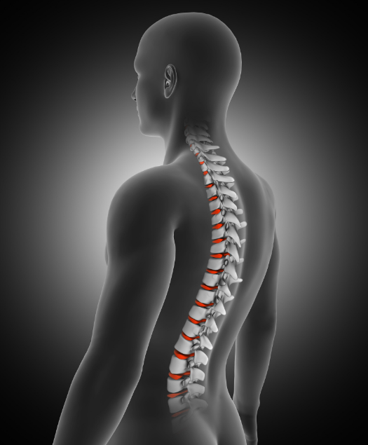 Back and Spine Care Doctors Los Angeles